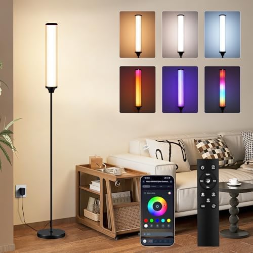 FRIDEKO HOME Floor Lamp, Smart RGBCW LED Color Changing Ambient ...