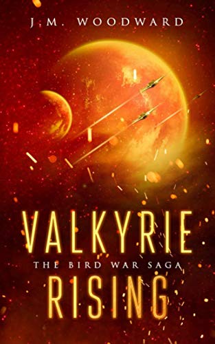 Amazon.com: Valkyrie Rising (Bird War Saga): 9781796771732: Woodward, J ...