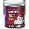 Asianpaint Dampproof Primer 10L, White : Amazon.in: Home Improvement