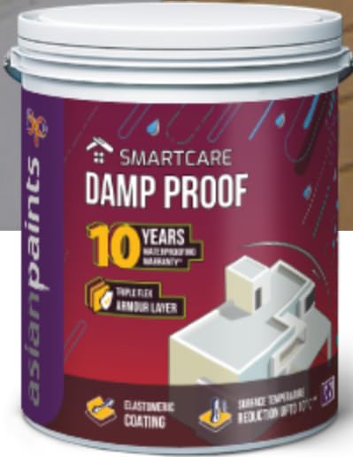 AsianPaint DampProof Primer 1L : Amazon.in: Home Improvement
