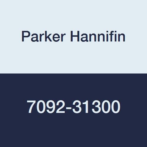 Parker Hannifin 7092-31300 EPDM General Service Air and Water Hose, GST ...