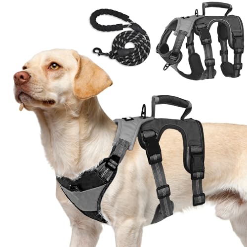 10 Best No-Escape Dog Harnesses | 2024