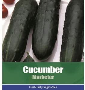 De Ree Cucumber Marketer Vegetable / Fruit Plant 50 Seeds : Amazon.co ...
