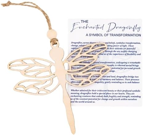 Amazon.com: Dragonfly Gifts for Women – Inspirational and Spiritual ...
