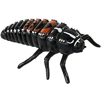 Amazon.com: Insect Lore Ladybug Life Cycle - 4 PC Insect Figure Shows ...