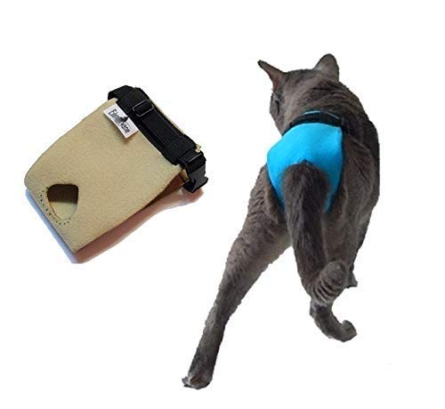 Bragas/pañal para gatos machos de cría - Las bragas EXPRESS por ...