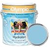 Amazon.com: Olympic Pool Paint - Hydrolon - Blue Mist - 1 Gallon ...