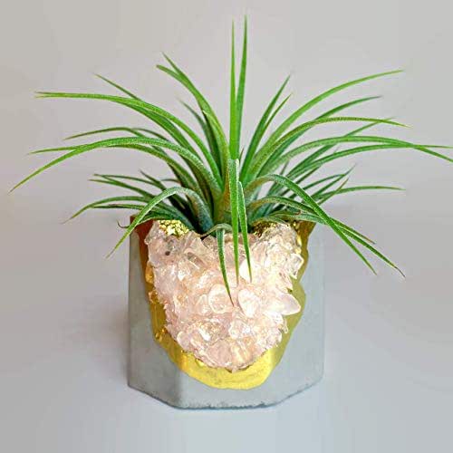 Amazon.com: Geode Planter | Air Plant Holder | Rose Quartz Crystal ...