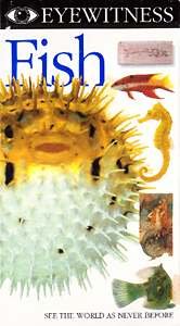 Eyewitness: Fish DVD with worksheet: School Curriculum Sets: Amazon.com ...