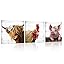 Amazon.com: Farm Animal Farmhouse Wall Art: Highland Cow Rooster Pig ...