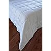 Amazon.com: Natural Comfort White Down Alternative Comforter with ...