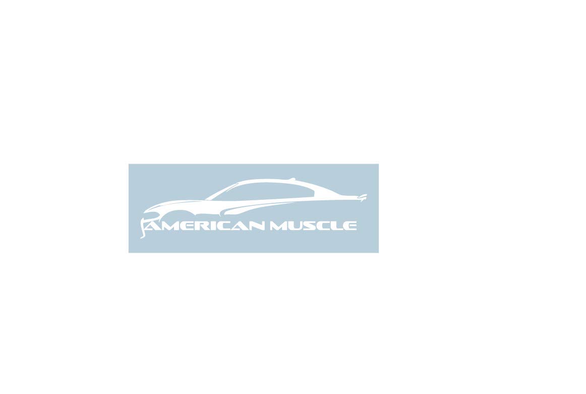 Amazon.com: Xpin Graphics American Muscle Car Decal/Sticker 12 ...