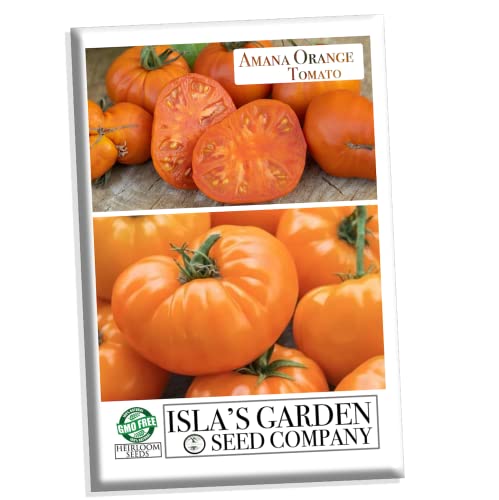 Orange tomato plant - How to grow & care