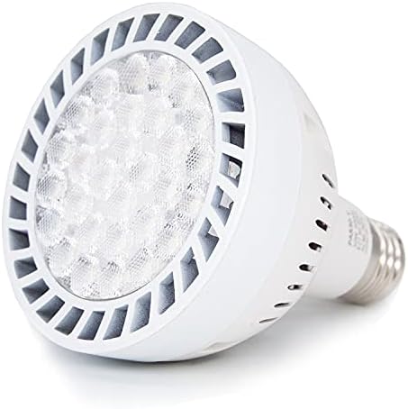 Amazon.com: Blue Pool Led Light Bulb for Inground Pool 120V 40W ...