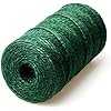 Amazon.com: 656 Feet Green Garden Twine, Natural Jute Twine Green ...