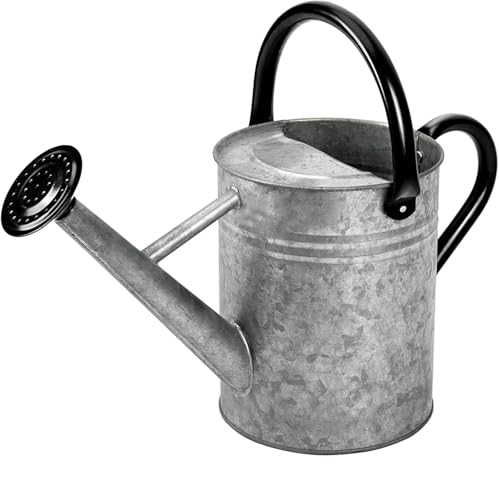 Best Steel Watering Cans: The Perfect Blend of Durability and Style for ...