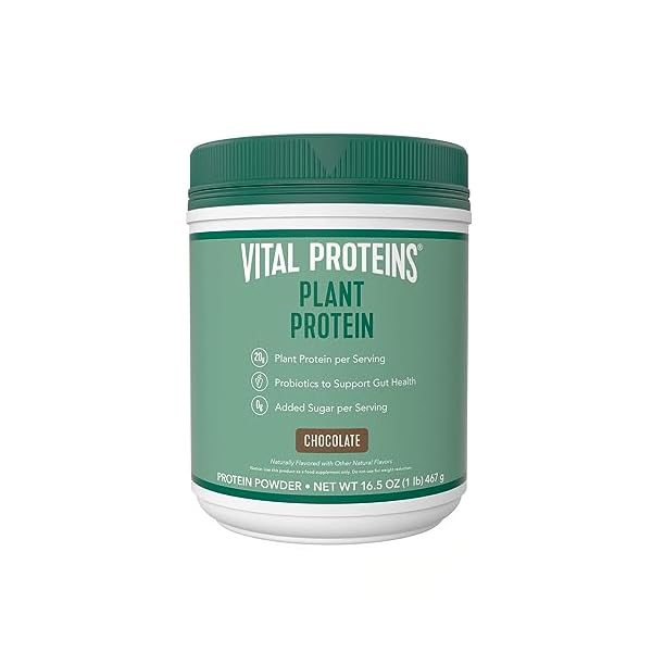 Vital Proteins Protein Powder – 20g Plant Based Protein with Chickpea ...