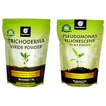 OrganicDews Trichoderma Viride Powder(1 Kg) + Pseudomonas Fluorescens ...