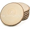 Amazon.com: 6pcs Large Wood Slices for Centerpieces 11-12 inches Wood ...
