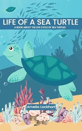 Life of a Sea Turtle: A book about the life cycle of sea turtles. eBook ...