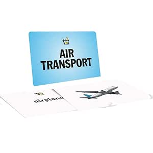 Buy brainy beez Kids Flash Cards for Kids Early Learning Water ...