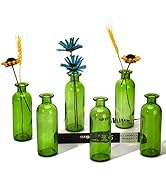 Amazon.com: Jspupifip 3 Pcs Small Glass Vase Green Vases for ...