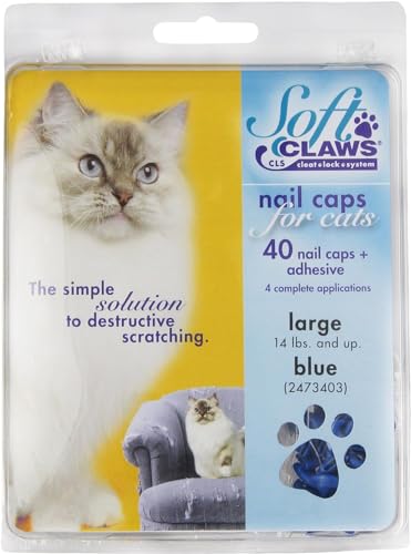 Cat Claw Caps – The 15 best products compared - Wild Explained