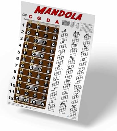 Amazon.com - Mandola Fretboard Notes and Chord Chart Instructional ...