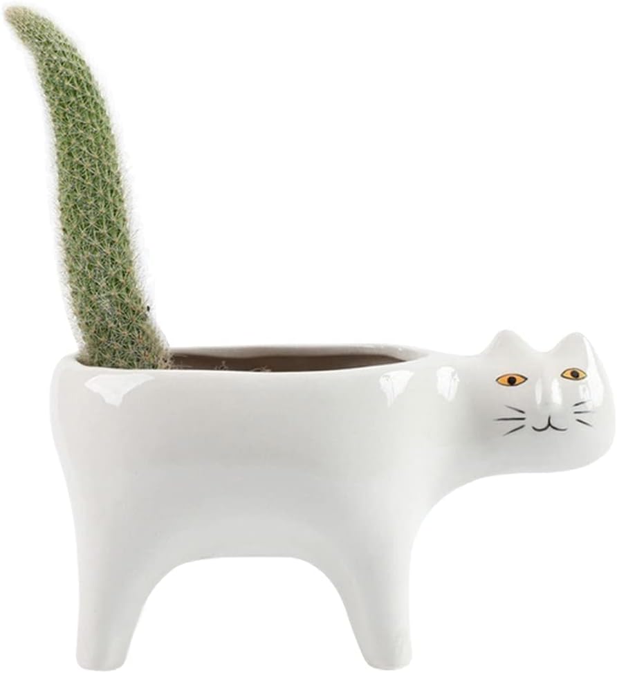 Amazon.com : Mathew O Retro Ceramic Cat Shape Succulent Plant Pot ...