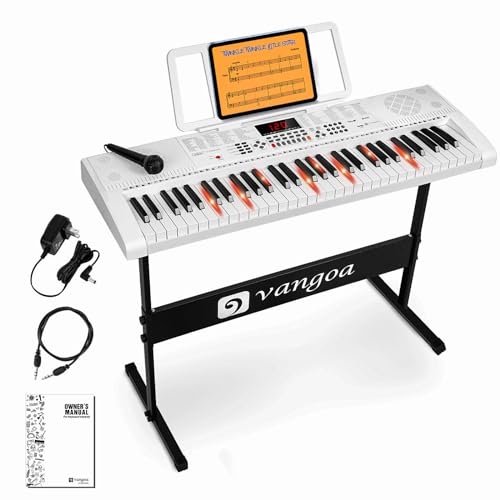 Top 10 Best Keyboards For Learning Piano : Reviews & Buying Guide - Katynel