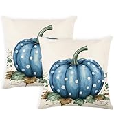 Amazon.com: MAZSHTTD Pillow Cover Fall Blue Pumpkin Throw Pillow Covers ...