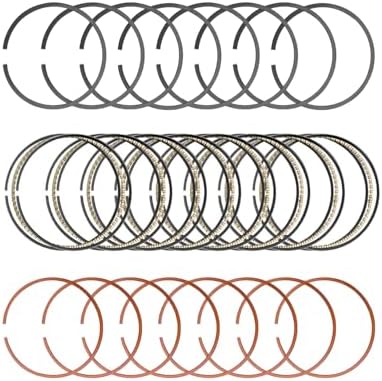 Amazon.com: Moly Piston Rings Kit Fit for Chevy GMC LC9 LS4 4.8L 5.3L ...