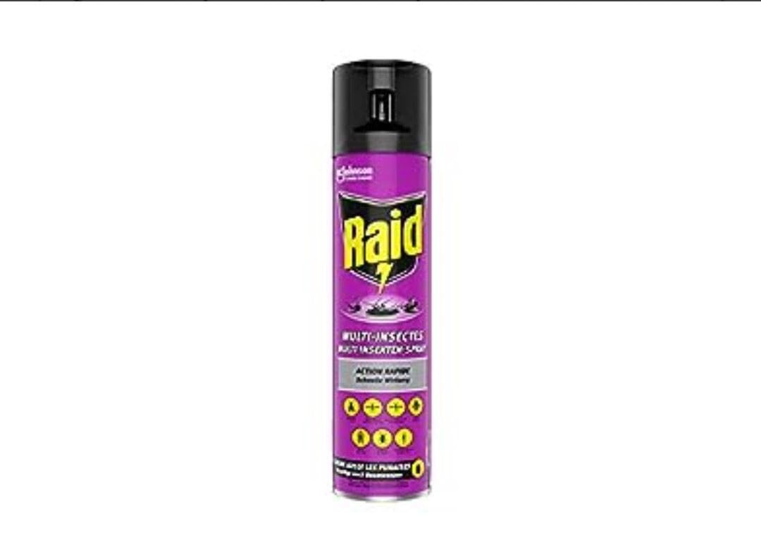 Raid aérosol multi-insectes, 400 ml : Amazon.fr: Epicerie
