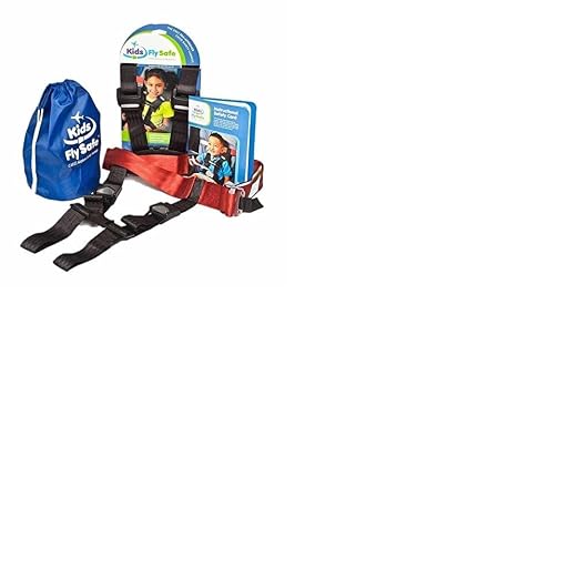 Amazon.com : Cares Airplane Safety Travel Harness For Kids - Toddler ...