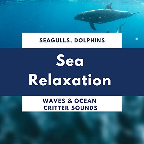 Sea Relaxation - Seagulls, Dolphins, Waves & Ocean Critter Sounds von ...