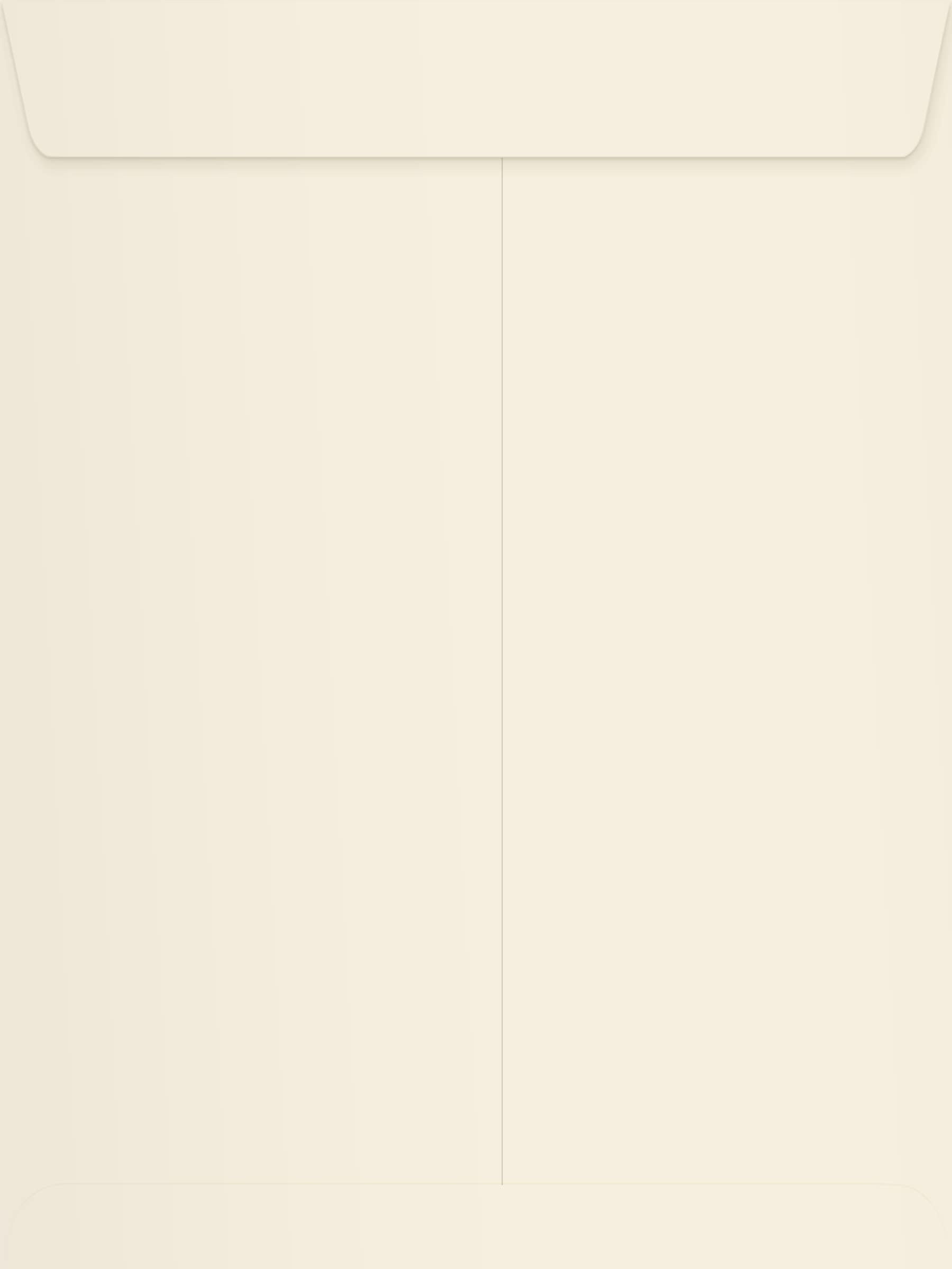 Amazon.com : Tanshuqin 9" x 12" Self-Seal Catalog Envelopes Anti Tear ...