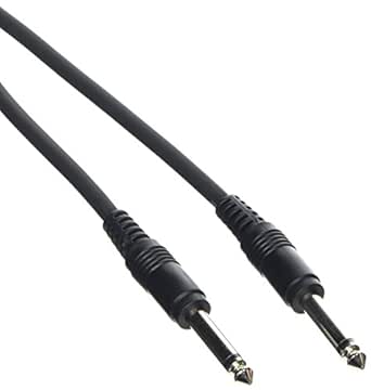Accu Cable 10m 6.3mm Male to Male Mono Jack Cable - Black : Amazon.in ...