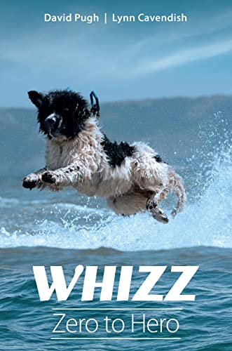 Amazon.com: Whizz : Zero to Hero eBook : Pugh , David , Cavendish ...