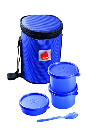 Buy Leakproof tiffin pack 10 Online at Low Prices in India - Amazon.in