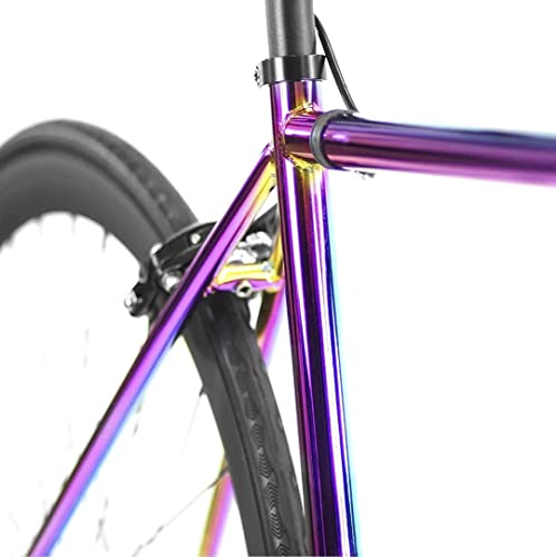 Golden Cycles Single Speed Fixed Gear Bike with Front & Rear Brakes ...