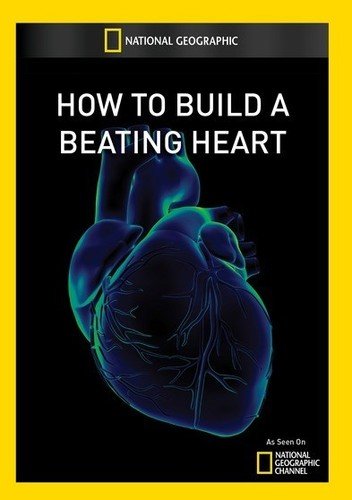 Amazon.com: How to Build a Beating Heart : HOW TO BUILD A BEATING HEART ...