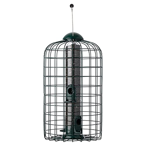 Snapklik.com : Squirrel-X Bird Feeder, Cage Tube Feeder Keeps Squirrels ...