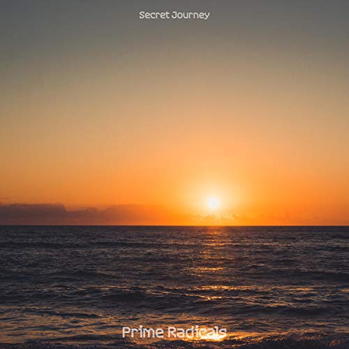 Amazon.com: Prime Radicals : Secret Journey: Digital Music