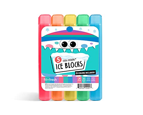 Ice Blocks – The 16 best products compared - Campintuits