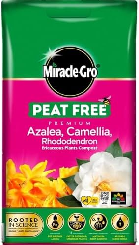Miracle-Gro Peat Free Azalea Camellia Rhododendron Ericaceous Potting ...