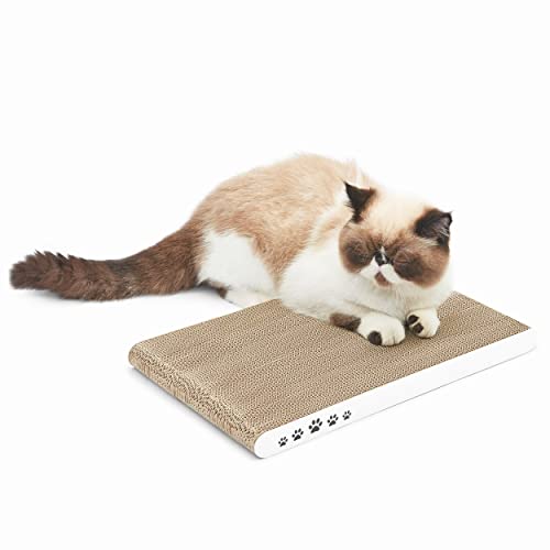 Amazon.ca Les meilleures ventes: Les articles les plus populaires dans ...