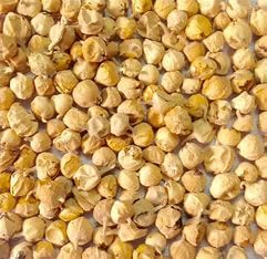 Buy Healthy Diabetes Management with Paneer Phool,Withania Coagulans ...