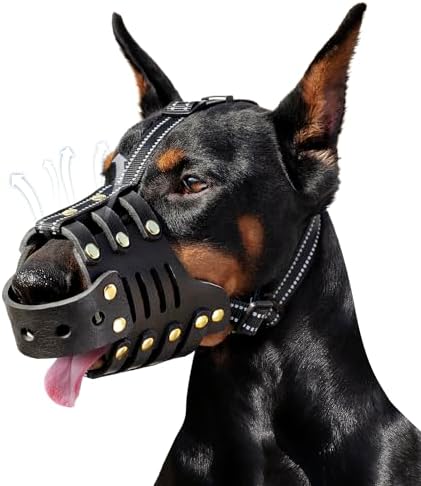 Amazon.com : ZEUS Alpha TPR Muzzle for XX-Large Dogs, Comfort Fit ...