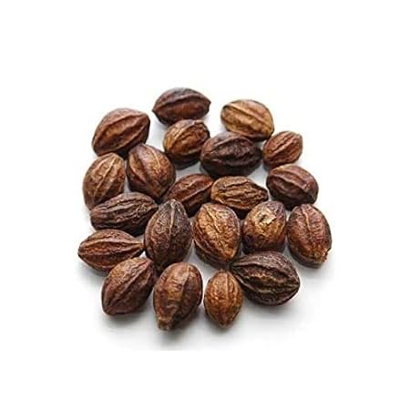 Buy haritaki 350g / Inknut/Kadukkai/harde whole/terminalia chebula ...