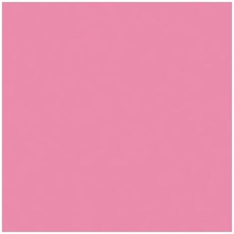 Amazon.com : Rosco Roscolux Medium Pink, 20" x 24" Color Effects ...